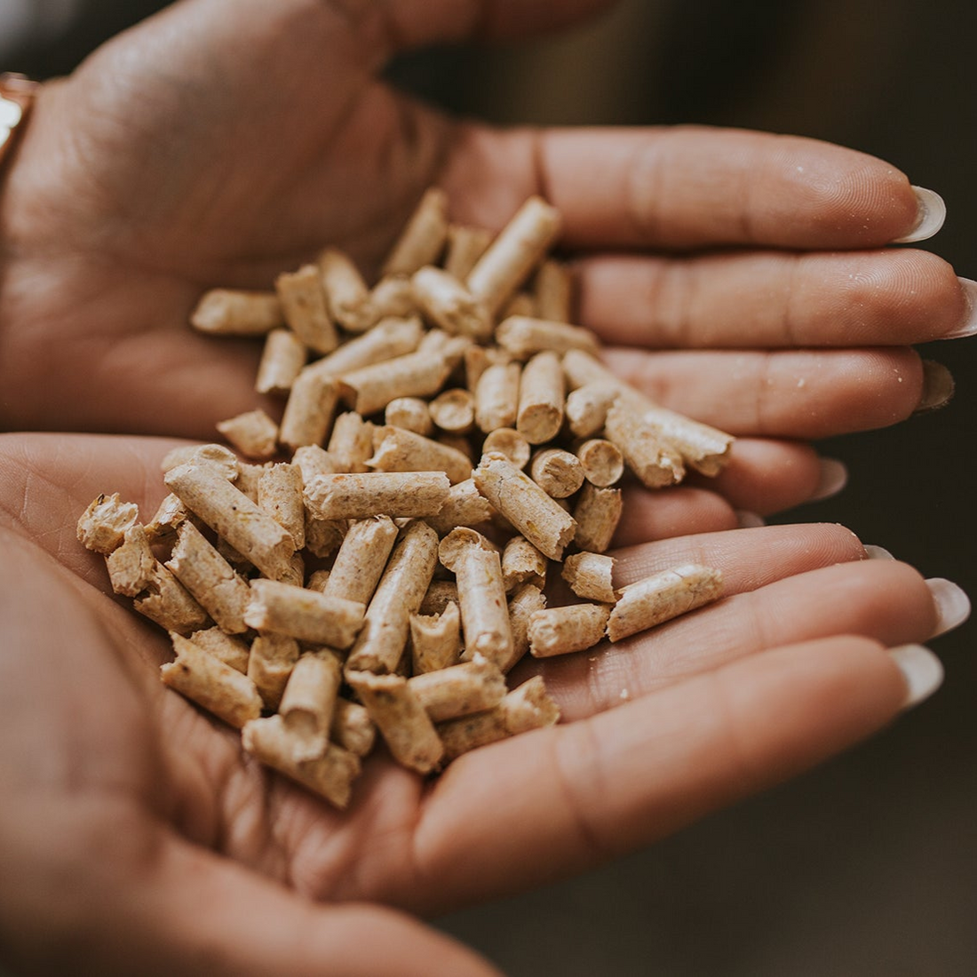 Austrian Power Pellets – Hochwertige Pellets inkl. Lieferung | Umwelt ...